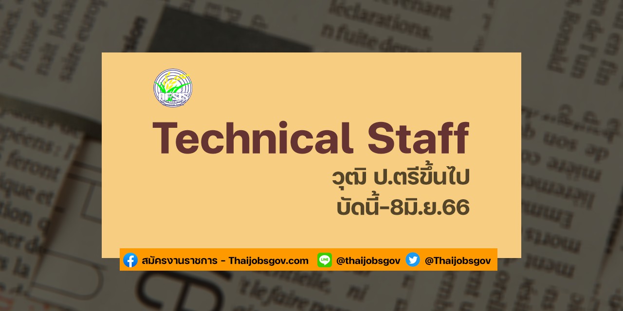 AFSIS รับสมัคร Technical Staff (Information Management) วุฒิ ป.ตรีขึ้นไป บัดนี้-8มิ.ย.66